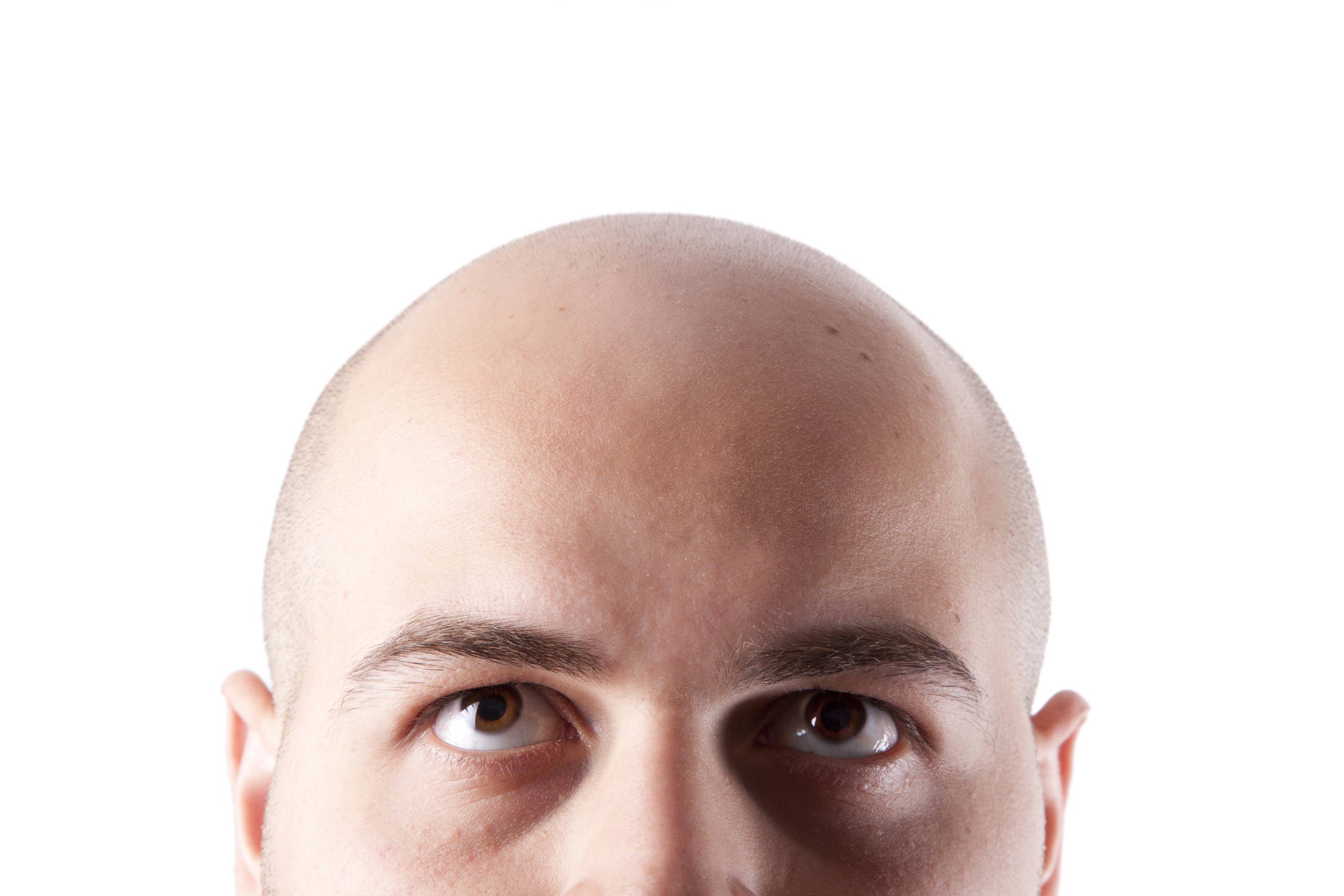 The Anatomy Of The Scalp (For Hair Loss Purposes) – DS Healthcare Group